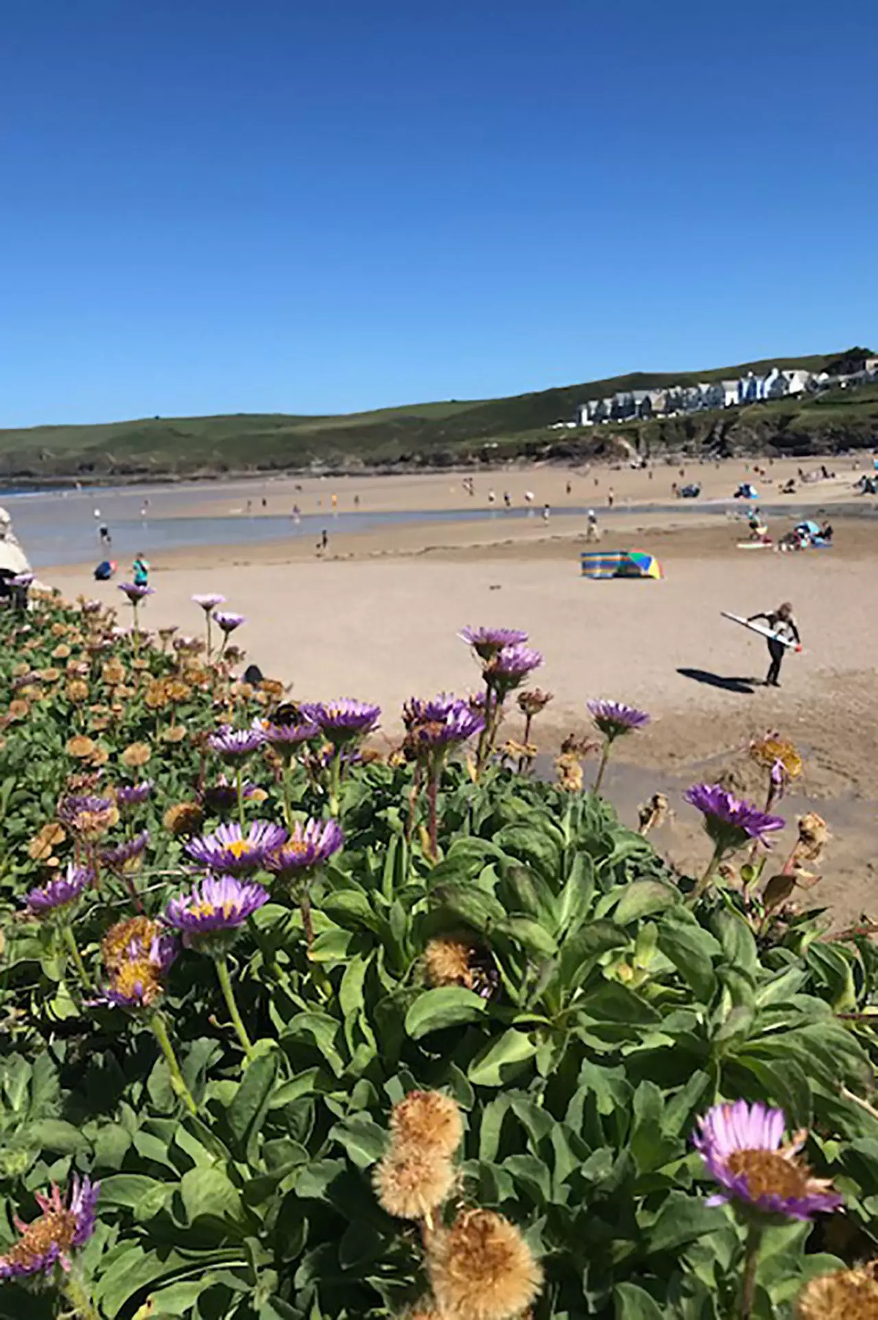 Polzeath strand