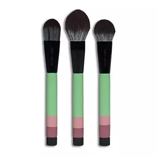 httpsotisbatterbee.comproductsfacebrushset