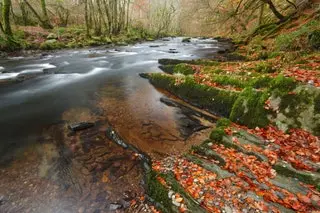 River Barle Somerset แม่น้ำ Barle อันเงียบสงบตั้งอยู่ใต้เนินเขาโบราณ Cow Castle และล้อมรอบด้วย...