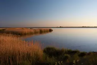 Waveney River Suffolk 毗鄰放牧的奶牛和沿著緩慢移動的 Waveney 滑行的原始鹽沼……