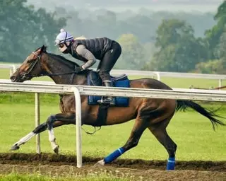 Thea GosdenHood Den glamorøse datteren til den anerkjente treneren John Gosden som teller over 3000 vinnere over hele verden har blitt...