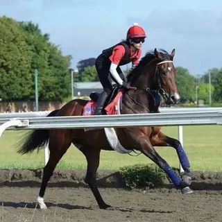 Ella Dettori Dettori er et navn som har dominert hver veddeløpsbane i over to tiår, og denne uken er strålende...