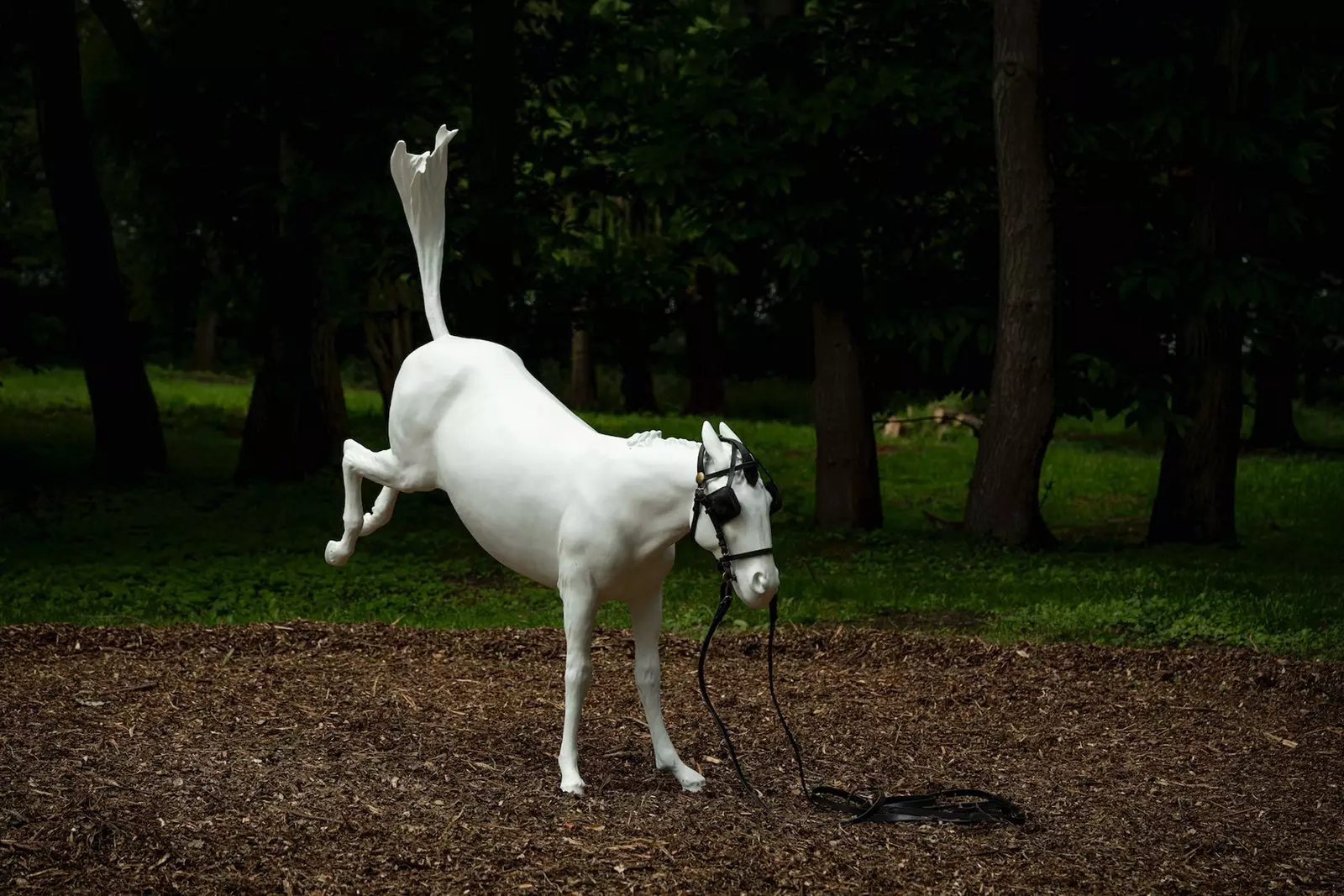 Adel Abdessemed Cheval de Turin 2012۔