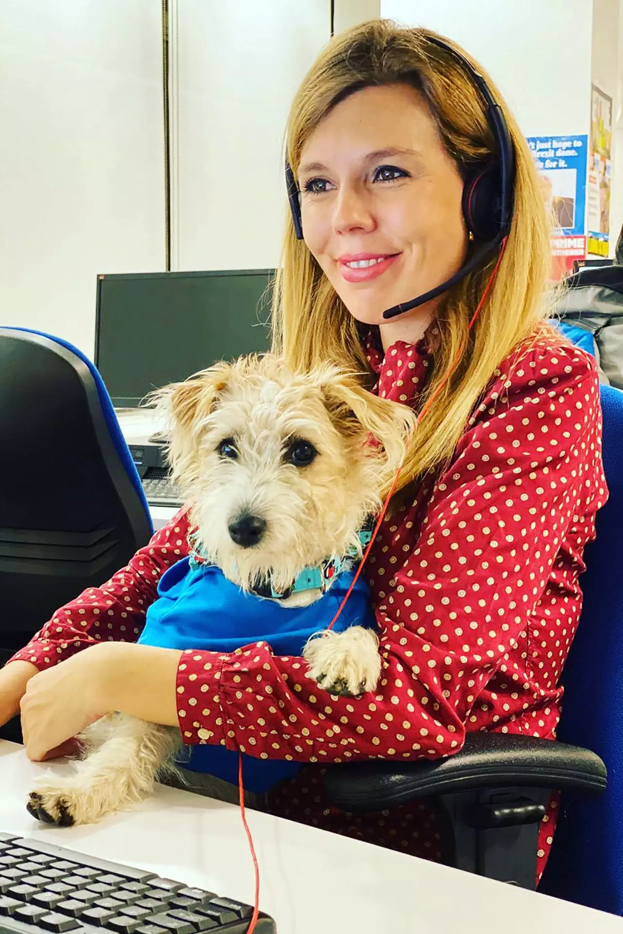 Carrie Symonds und Dilyn, der Downing-Street-Hund