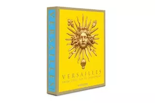 Incwadi entsha enesidima iphonononga ubungangamsha beVersailles, ethandwa ngumntu wonke ukusuka eLouis XIV ukuya kuJeff Koons. 1831_15