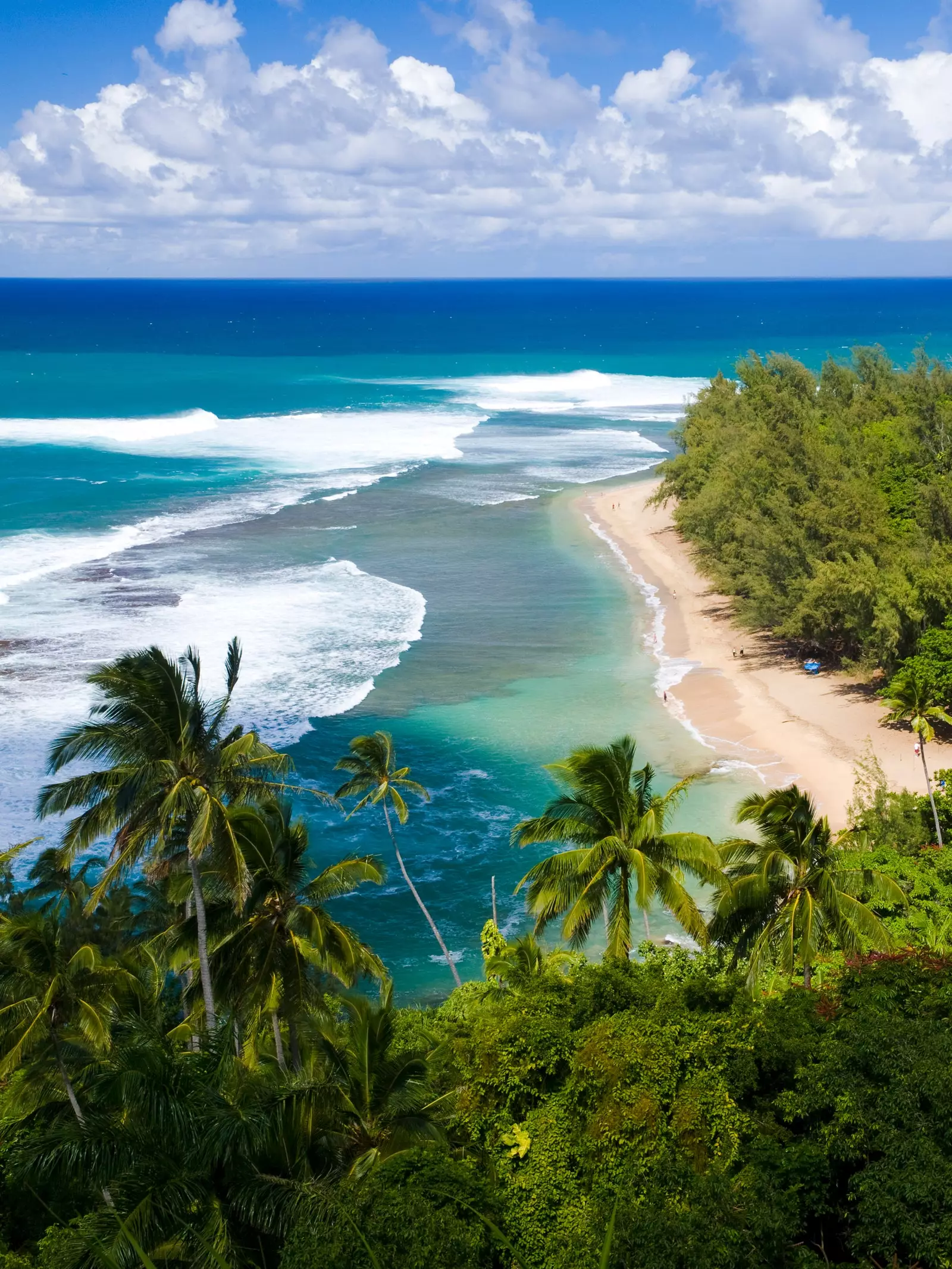 La côte de Kauai à Hawaï