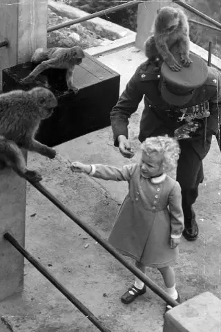 Công chúa Anne cho khỉ ăn ở Gibraltar tháng 5 năm 1954