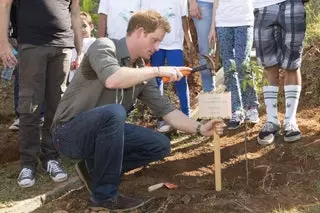 Prince Harry na Brazil 2014