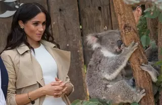 Duchess nke Sussex na Australia 2018