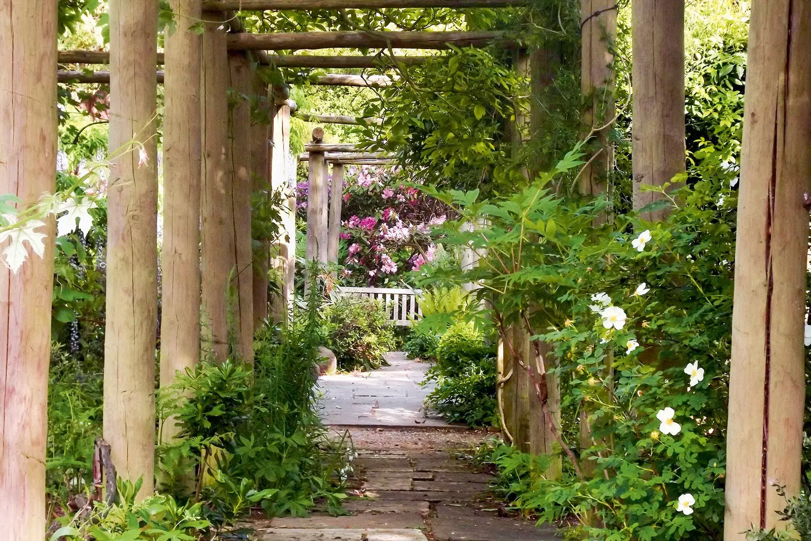 O jardim da pérgola em Myddelton House