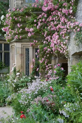 Haddon Hall ขึ้นชื่อในเรื่องดอกกุหลาบที่สวยงามซึ่งปีนป่ายข้ามกำแพงและประดับประดาไปตามพรมแดน