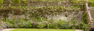 Ny sisin-tanin'ny Loharano Terrace dia ahitana karazana voninkazo mahafinaritra ao anatin'izany ny Delphiniums Irises Roses sy Eucalyptus.