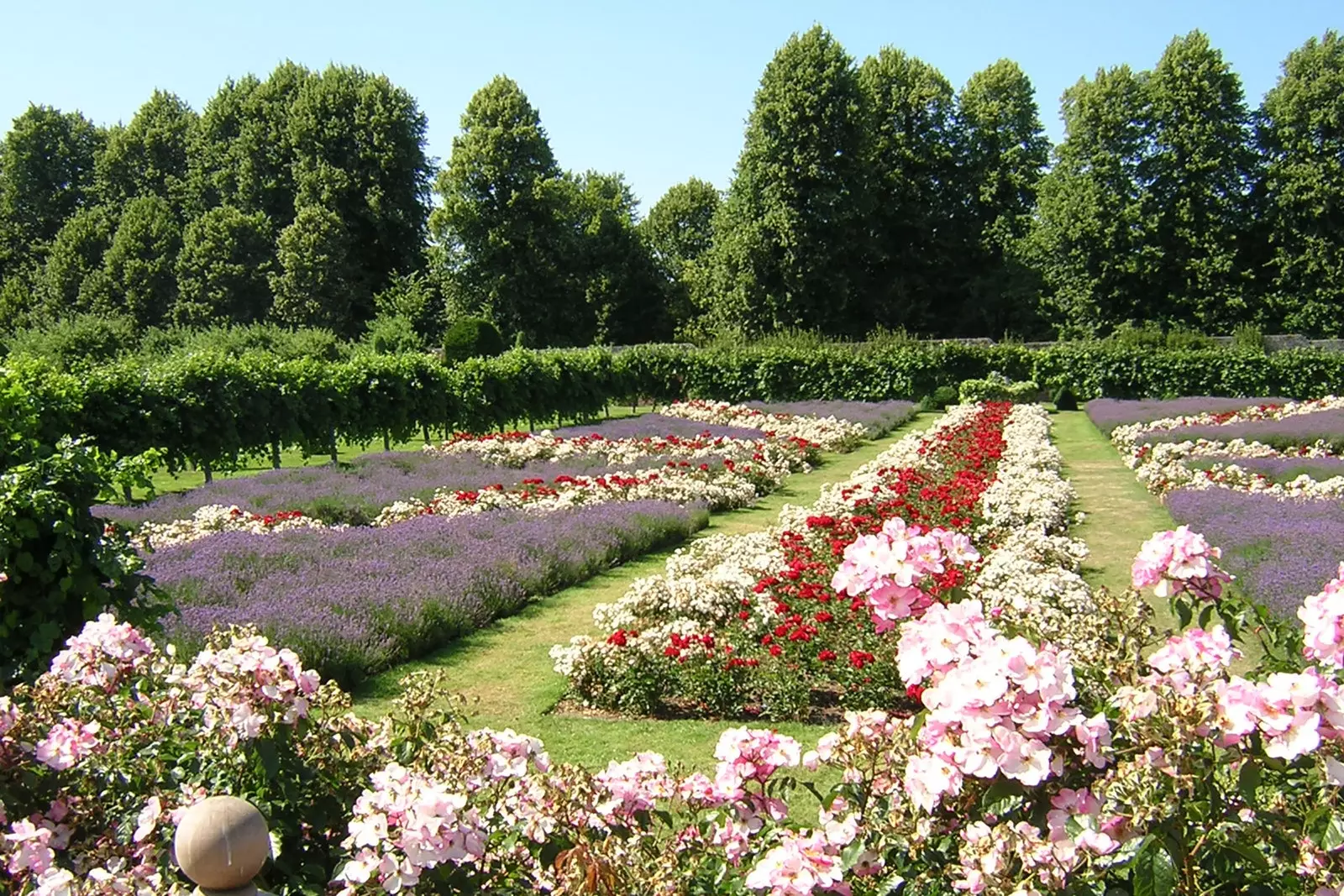 สวนธงที่ถูกจับจากเนินที่เต็มไปด้วยดอกกุหลาบและลาเวนเดอร์ในรูปของ Union Jack