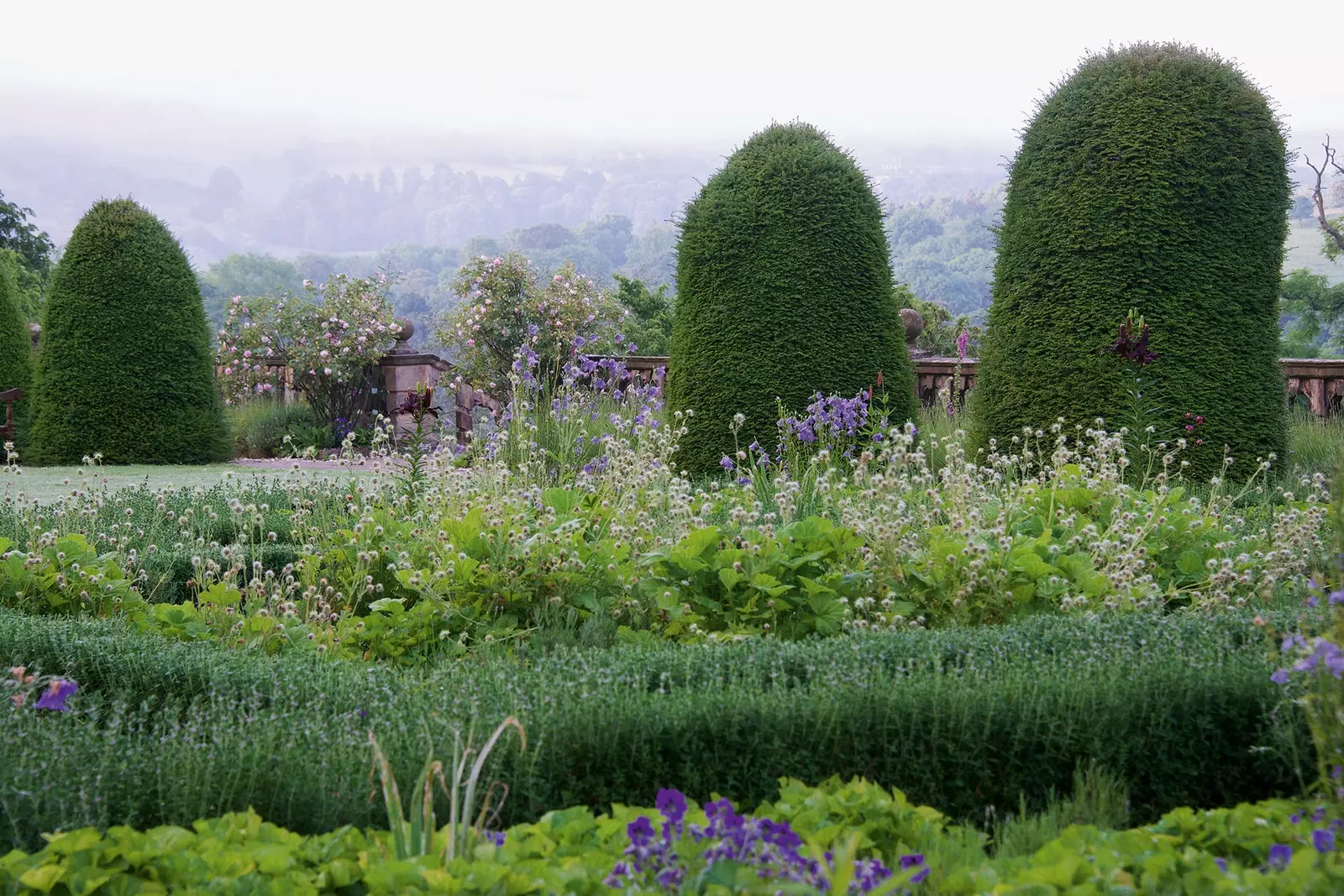 The Knot Garden បង្ហាញរុក្ខជាតិគ្រឿងអលង្ការដែលណែនាំដោយអ្នកប្រមាញ់រុក្ខជាតិនៅថ្ងៃនោះ។