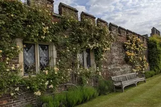 Die Tortoise Terrace Roses ist so benannt, weil hier einst die Schildkröten der Familie gehalten wurden