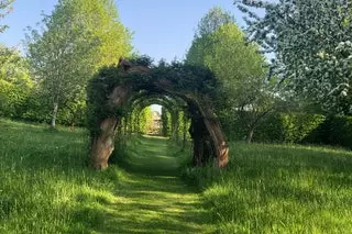 Rustic Arbor.