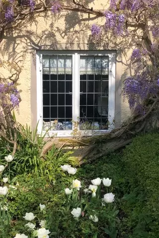 It mei wisteria oerdekte keukenfinster.