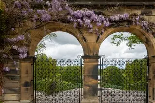 Les glicines s'enfilen per les portes del jardí ornamental