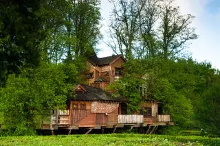 Treehouse