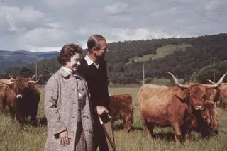 Královna a vévoda z Edinburghu na poli s horským dobytkem v Balmoral Scotland 1972.