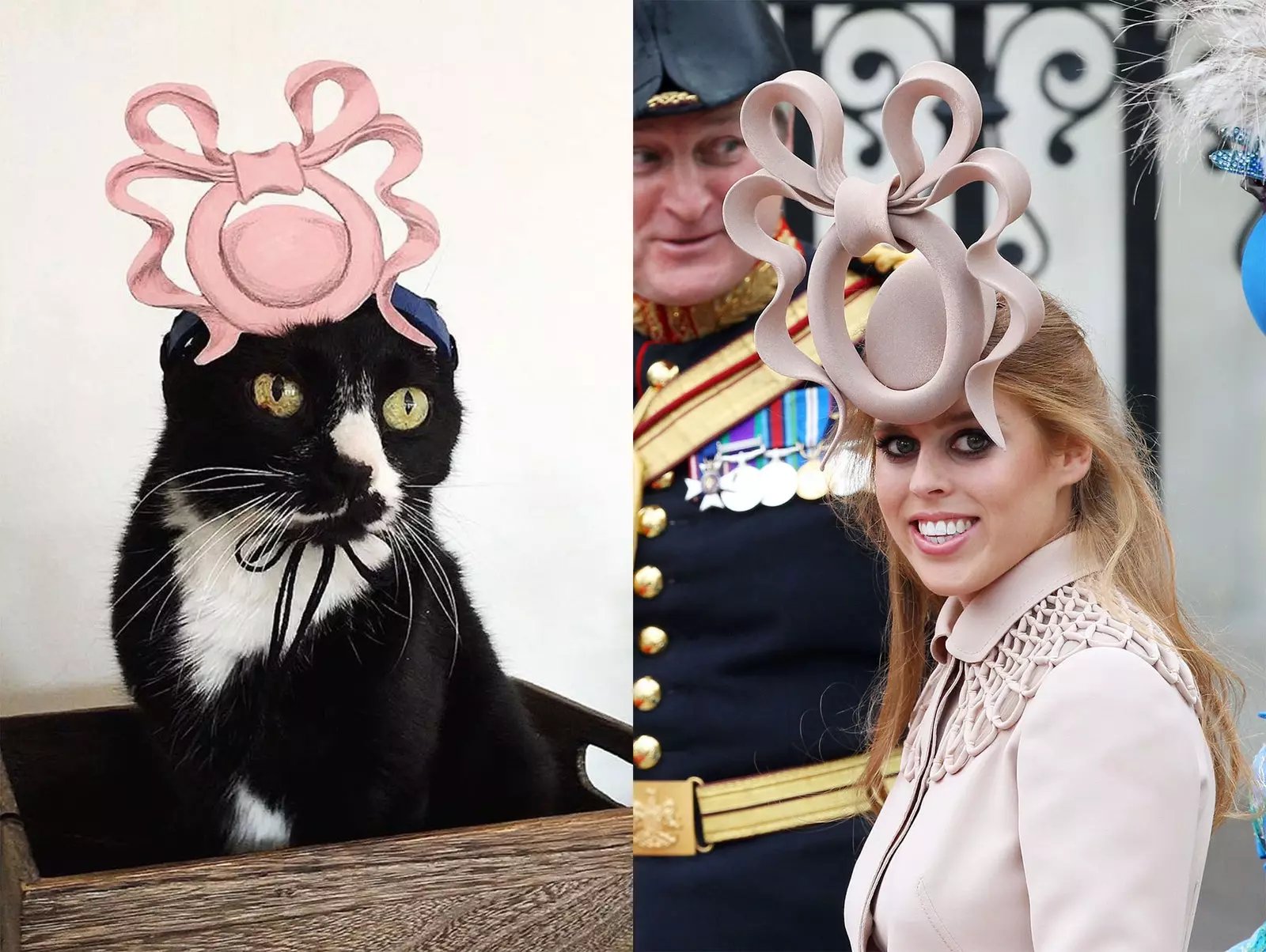 Lernen Sie die Frau kennen, die Philip Treacys ikonischste Designs für ihre Katze nachempfunden hat