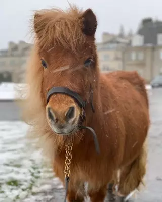 Aile Hogmanay Ailesiyle sınırın kuzeyine gidenler için Perthshire'daki 850 dönümlük Gleneagles oteli...