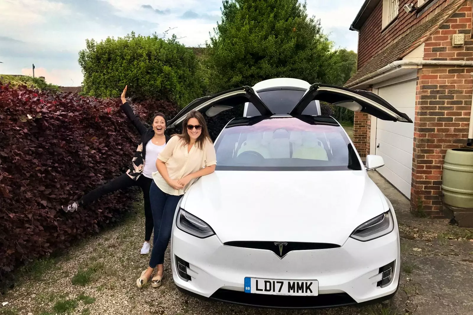 Tesla Model X awtoulagyna syn