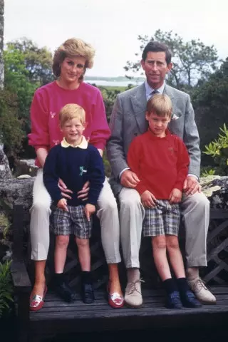 Prinsessen av Wales prins Harry prinsen av Wales og prins William 1989