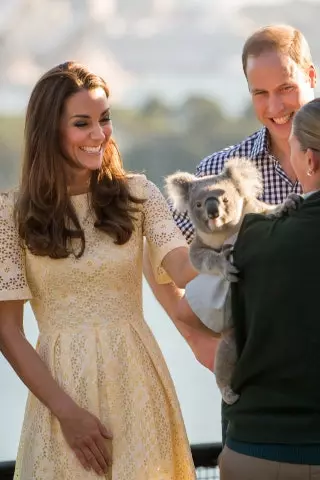 Duchess of Cambridge ແລະ Duke of Cambridge