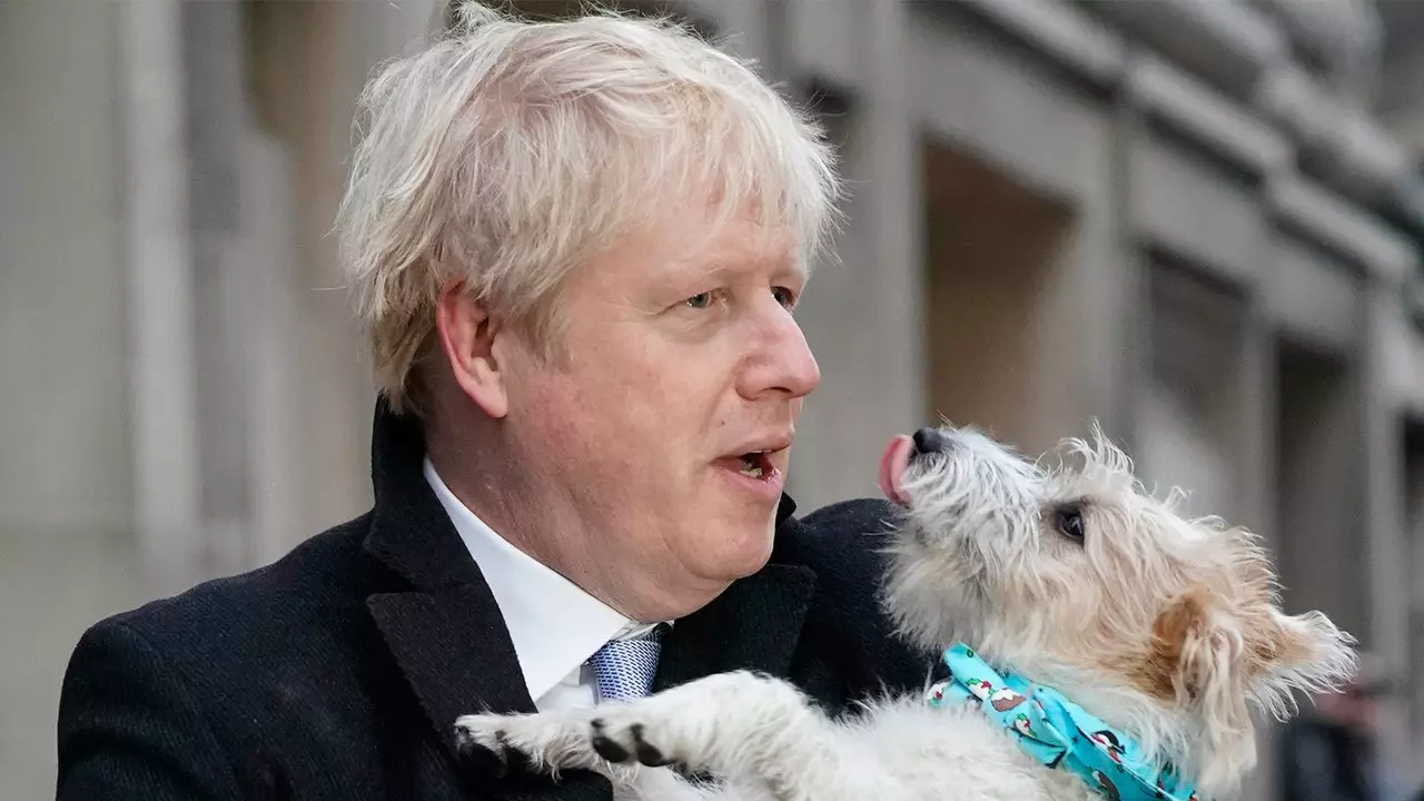 PM onthult de amoureuze neigingen van Dilyn the No 10 dog