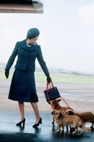 1974 Drottning Elizabeth II anländer till Aberdeens flygplats med sina corgis för att börja sin semester i Balmoral Skottland