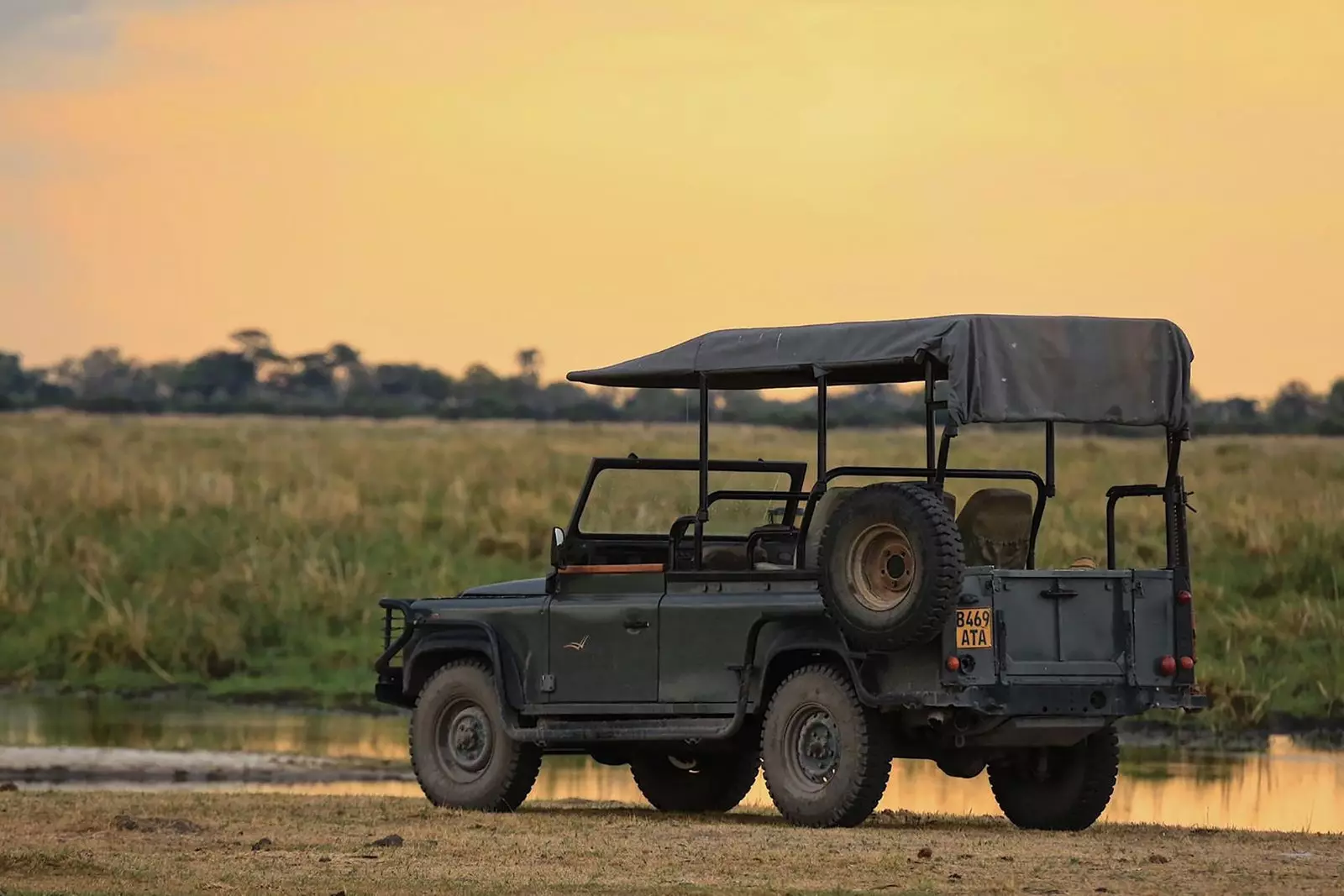 Safari Botswana Sacha Forbes