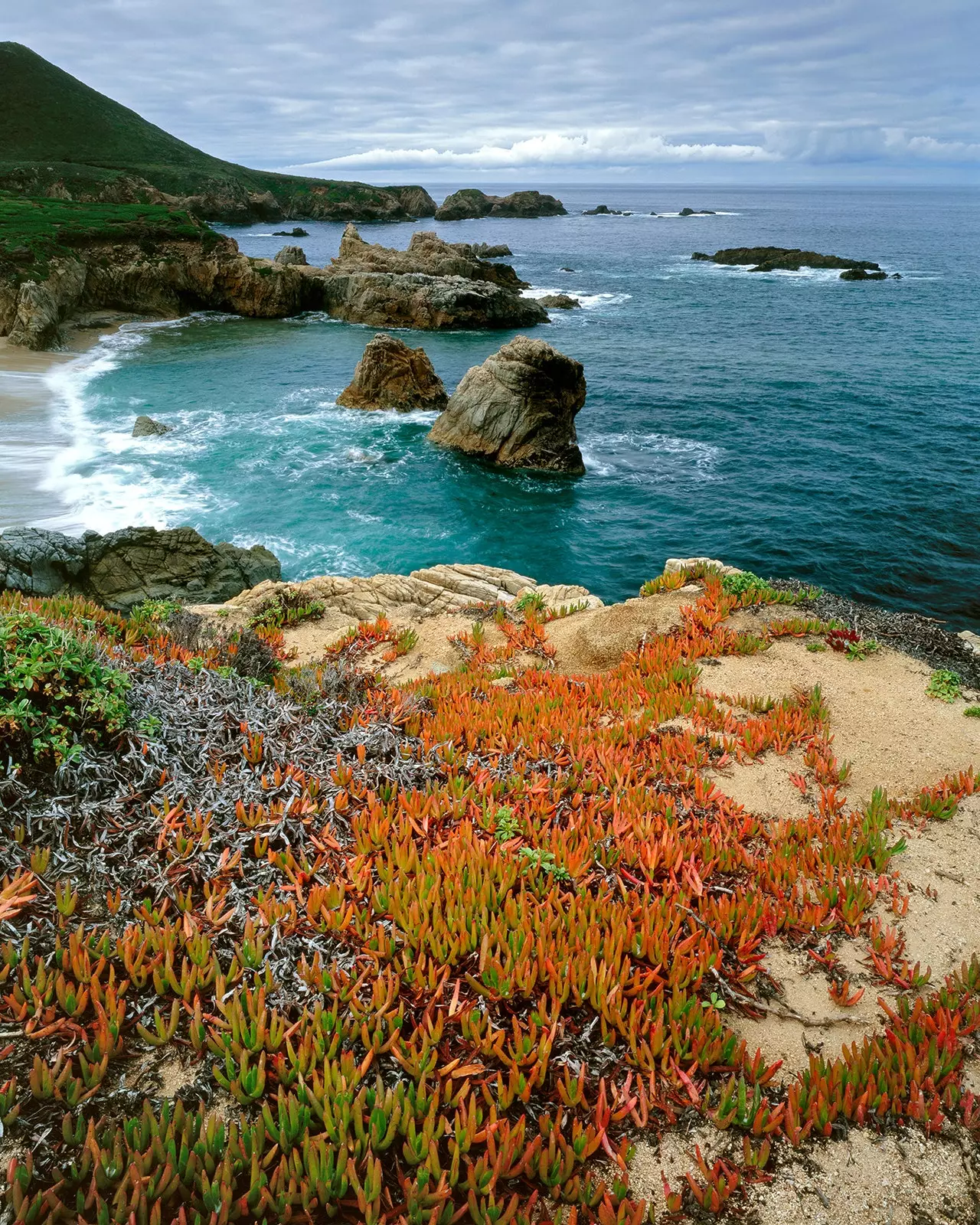 Garrapata Állami Park