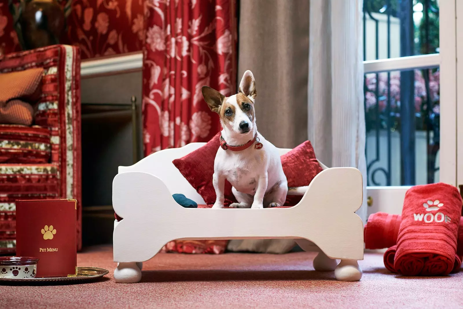 Gli hotel per cani sono i migliori di Londra