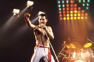 Freddie Mercury Ein weiterer britischer Popstar, von dem angenommen wird, dass er Diana the Queen-Frontmann nahe stand, war einer der...