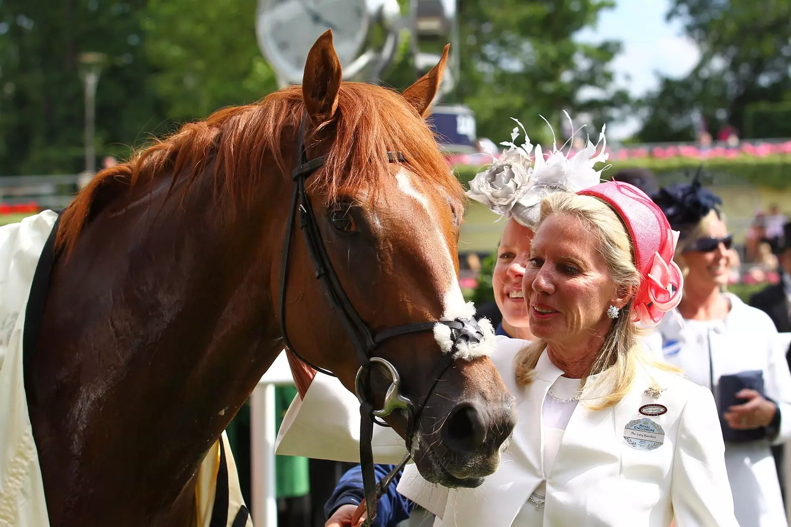 I-Eagle Top kunye nomnini wayo uLady Bamford eRoyal Ascot ngo-2014