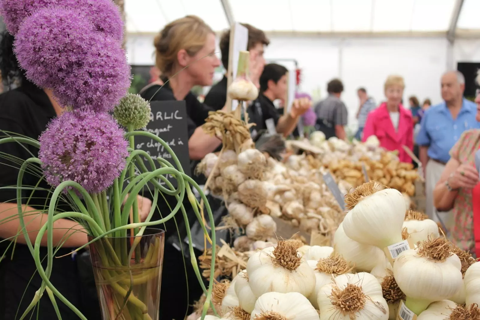 Garlic Farm Isle of Wight