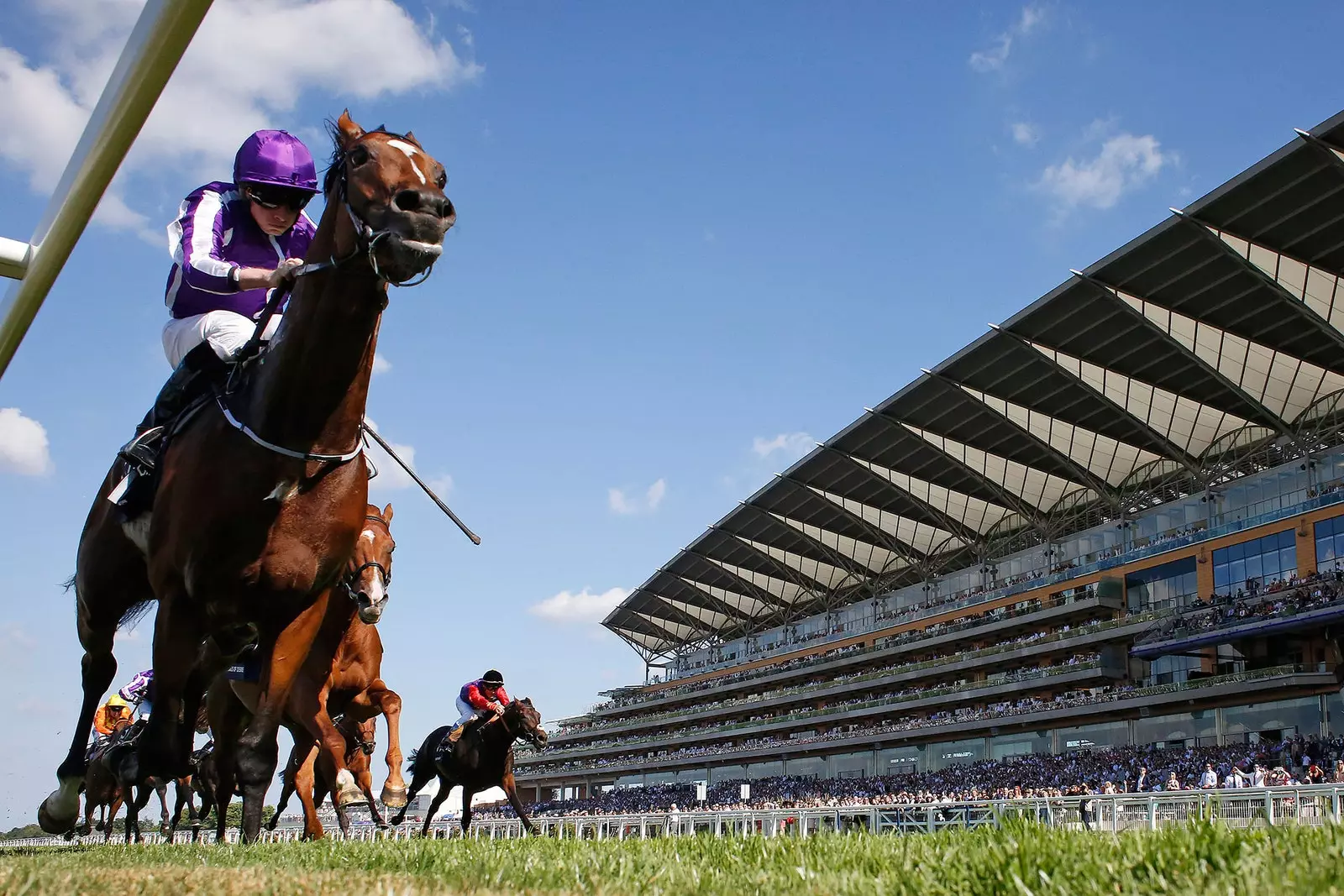 Royal Ascot метавонад дар паси дарҳои баста пеш равад