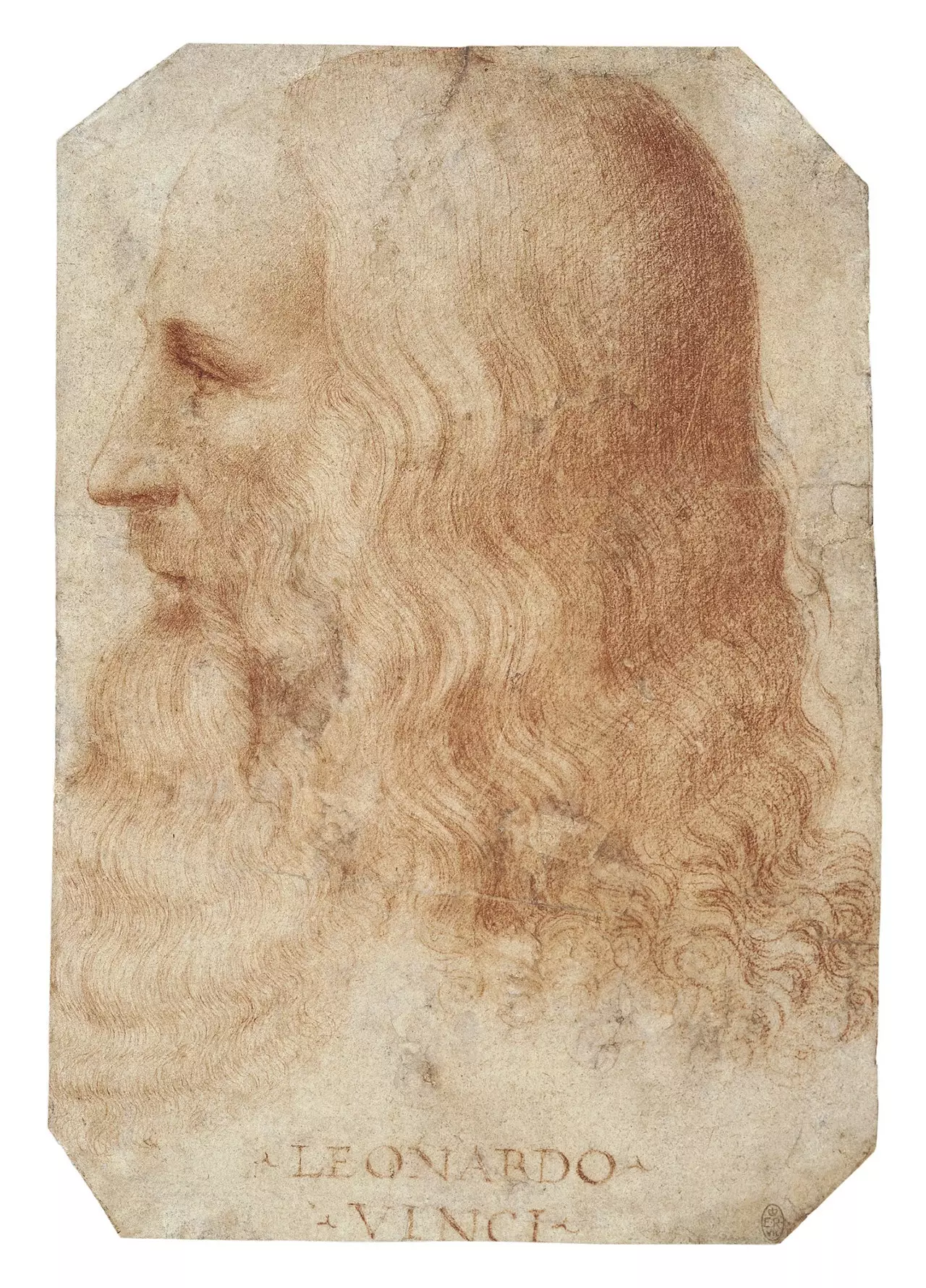 Atribuït a Francesco Melzi Retrat de Leonardo c.1515 18