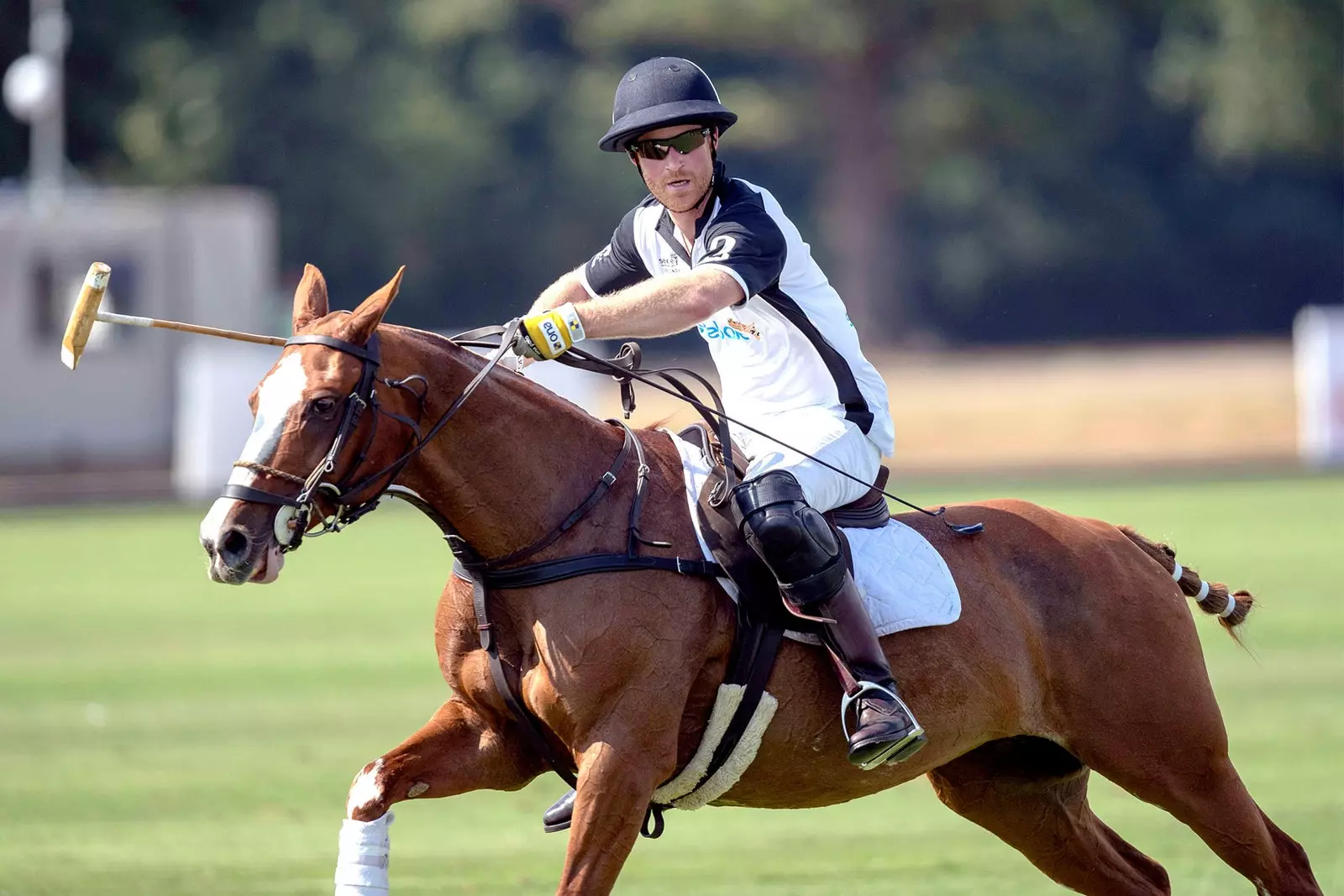 Duke of Sussex ambil bagian dalam Sentebale ISPS Handa Polo Cup 2019