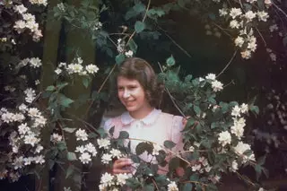 La princesse Elizabeth parmi un buisson de seringa dans le parc du château de Windsor 1941