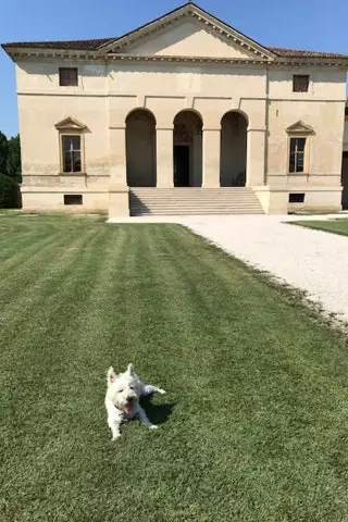 Ua vaaia e Zac Algar ni fale malolo sili atu. Na'o lana tala