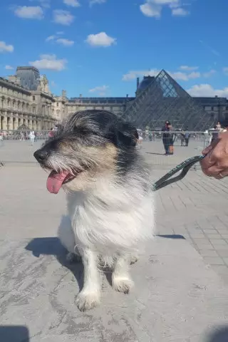 Gẹgẹbi Balzac ti sọ pe 'Ẹnikẹni ti ko ba ṣabẹwo si Paris nigbagbogbo kii yoo yangan gaan.' Thomasina Scott ko gba eewu naa