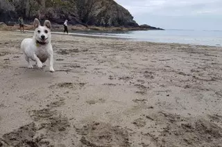 O Sparky Dunn e mautinoa lava e le'i na'o le tu'uina atu o se meaalofa iila i luga o se maota oneone a tamaiti