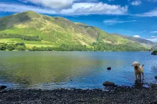 Монти Бейли Гард чака своя дигитален детокс в Lake District от Черния петък