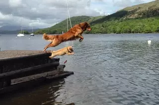 Buddy ak Tiggy Baldwin dènyèman dekouvri kè kontan nan naje senkronize nan Lake District