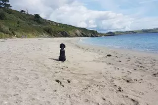 Alfie Gerrish pa janm pi sosyabl pase lè nan vakans