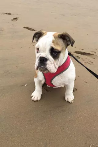 Bubba Owen kontan dèske l an vakans nan Dymchurch. Vrèman