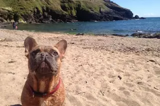 Napoleon Ambrose verstaan nie hoekom hy nie die sand in Devon mag eet nie