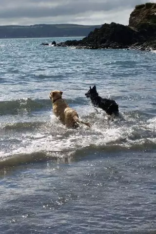 Indy ak Molly Walsh montre mouvman Baywatch yo nan Pembrokeshire